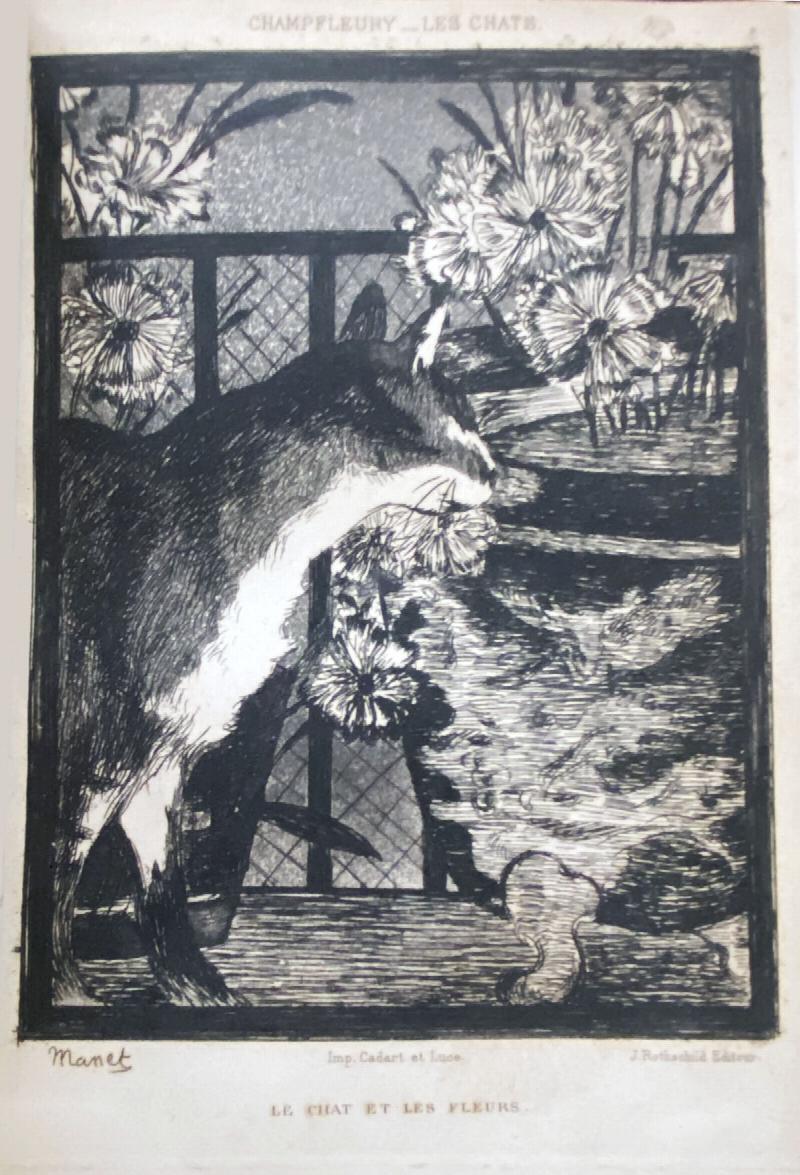 Les chats. Manet, by Champfleury